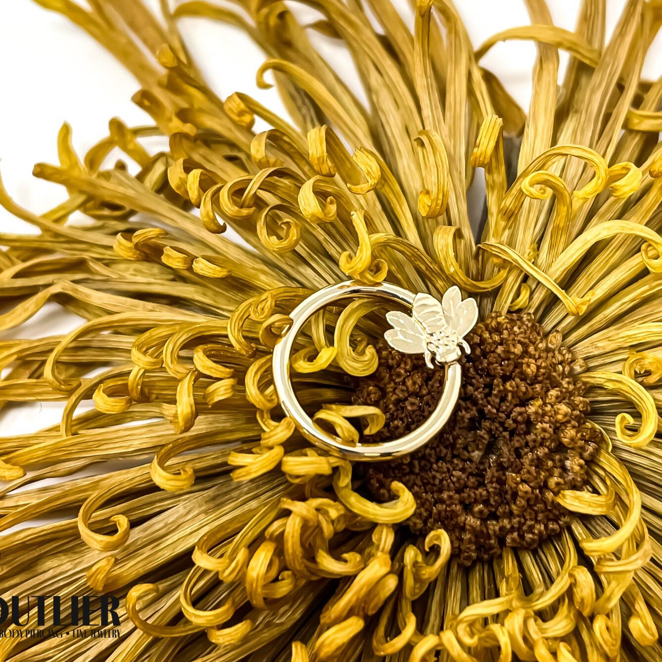 Body Piercing in St. Peters, MO | Outlier Body Piercing + Fine Jewelry